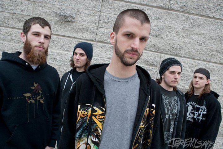 THE CONTORTIONIST: "INTRINSIC" - NO CLEAN SINGING