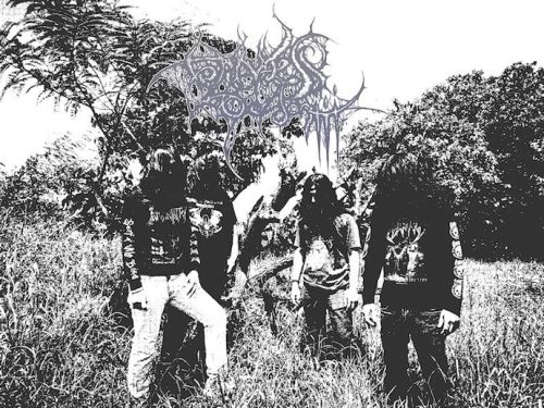 AN NCS PREMIERE: FORMLESS OEDON - "CALCINE PURIFICATION" - NO CLEAN SINGING